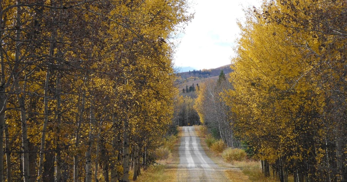 Harvey and Stephanie Matson - Turner Valley, Alberta, Youth With A ...
