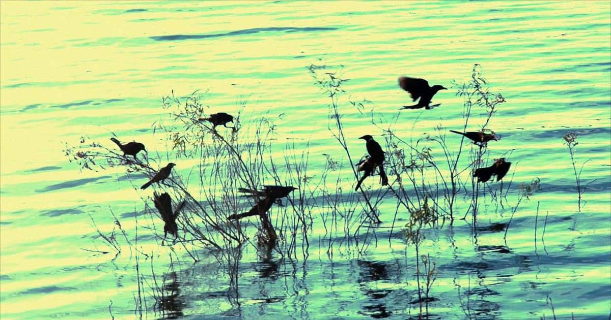 Steven Streeter - Weatherford, TX, Walt Disney Pictures, Double ...