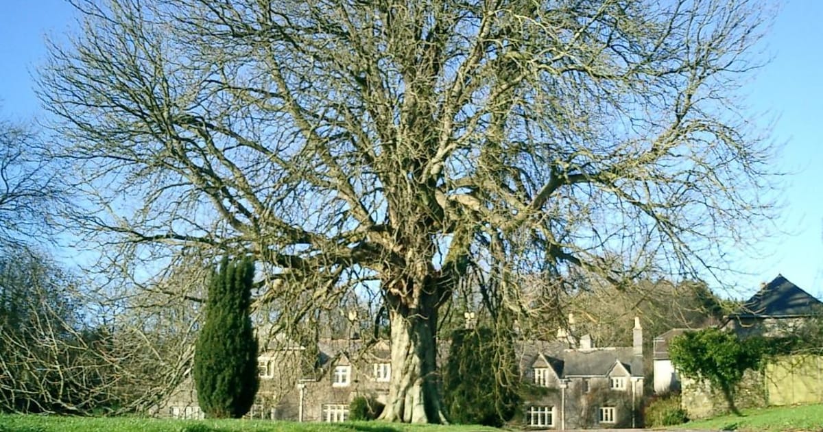 Steve Stapleton - Seattle, WA, Center for Ethical Leadership, Antioch ...