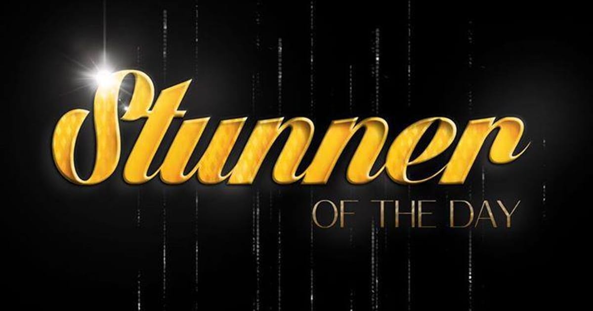 Stunner of the day - Stunner of the day, Wild Orchid Australia, Stunner ...