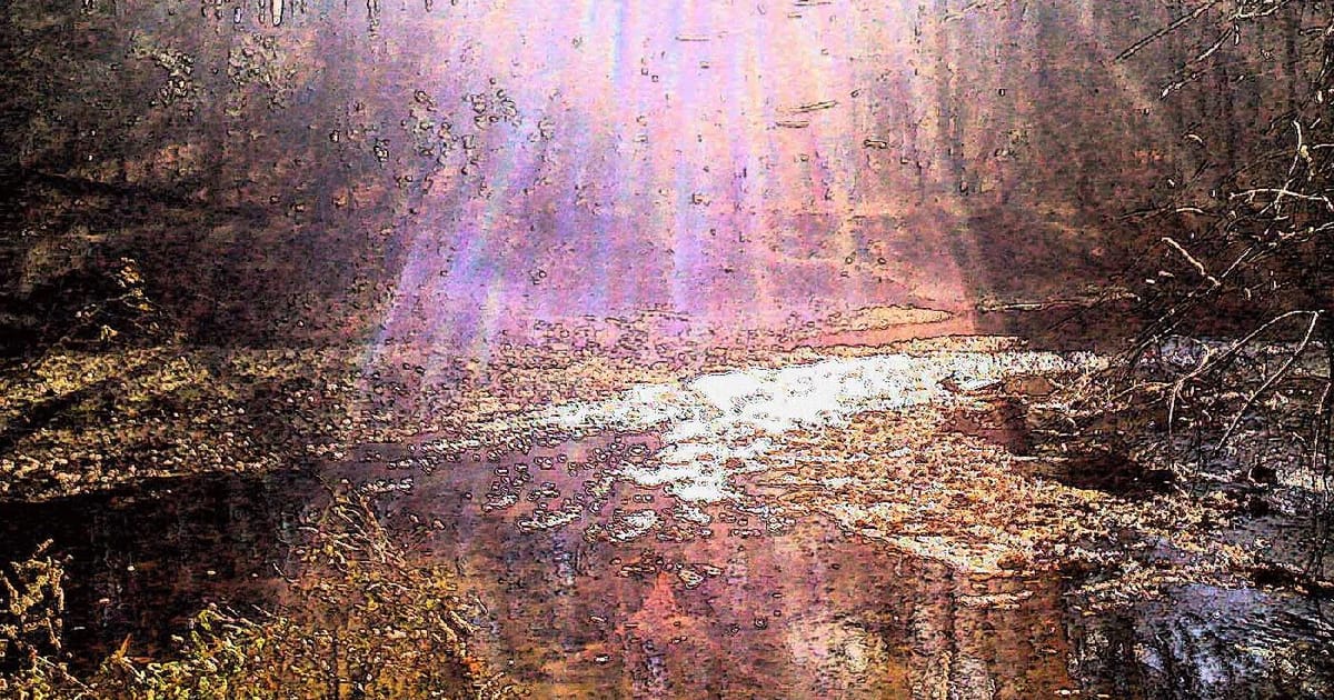 Susan M. Nagy - Washington, DC, Writing, tweeting, pinning, cooking ...