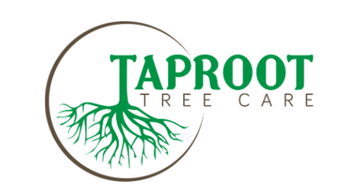 Taproot Tree Care - 8825 34th Ave NE ste 325, Marysville, WA 98271 | about.me