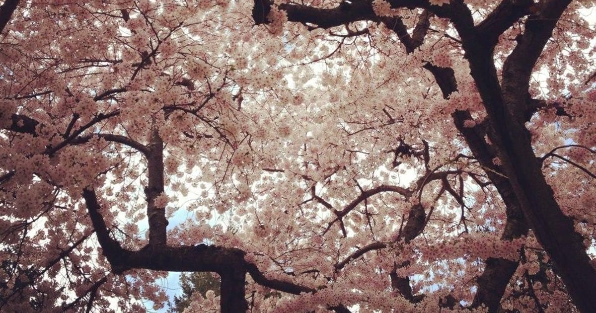 Taylor Winkel - Seattle, Washington, KING-TV, University of Washington ...