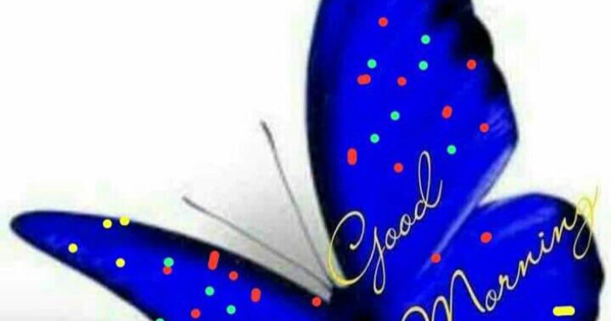 TCF LOGIN - usa | about.me