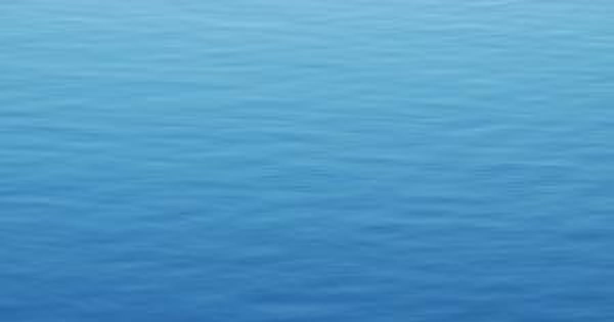 terry ray - mumbai | about.me