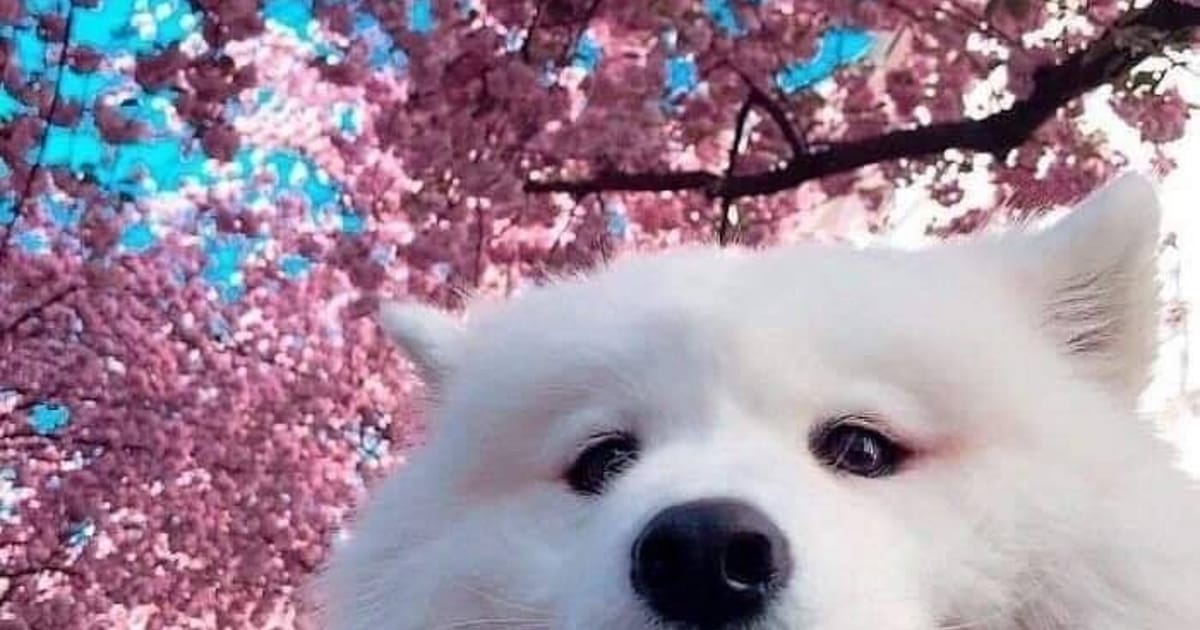 Tyler . - FL | about.me