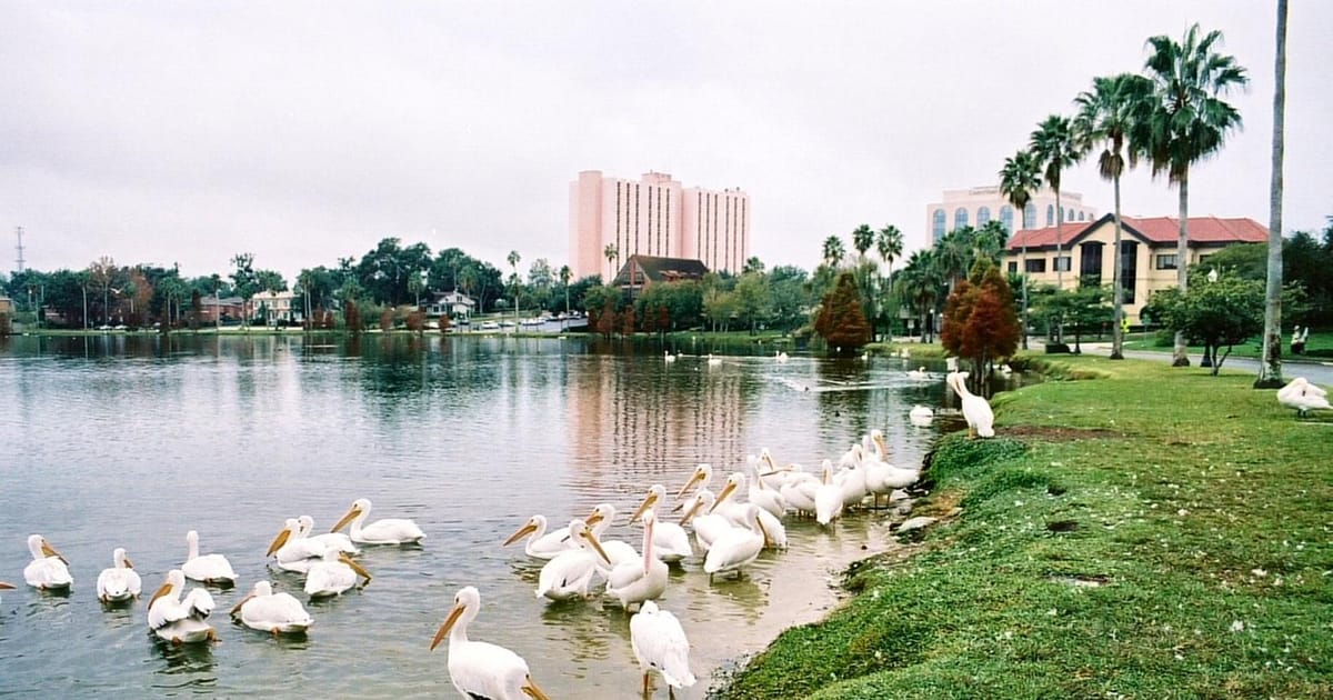 Crazy Stork Lady | about.me