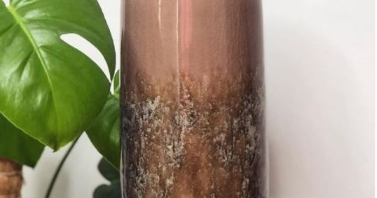 The Plant Box UK - UK | about.me