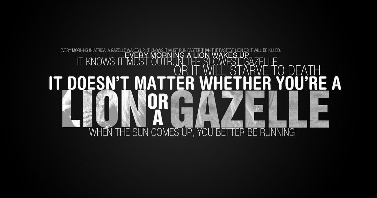 Thomas Shultz - Scottsdale, Arizona, United States, Managing Director ...