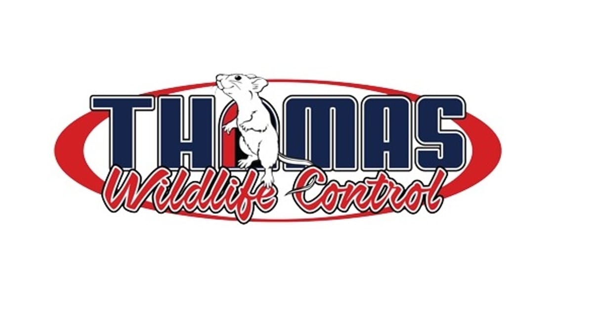 Thomas Wildlife Control - 118 HAZELMERE DRIVE Folsom CA 95630, Thomas ...