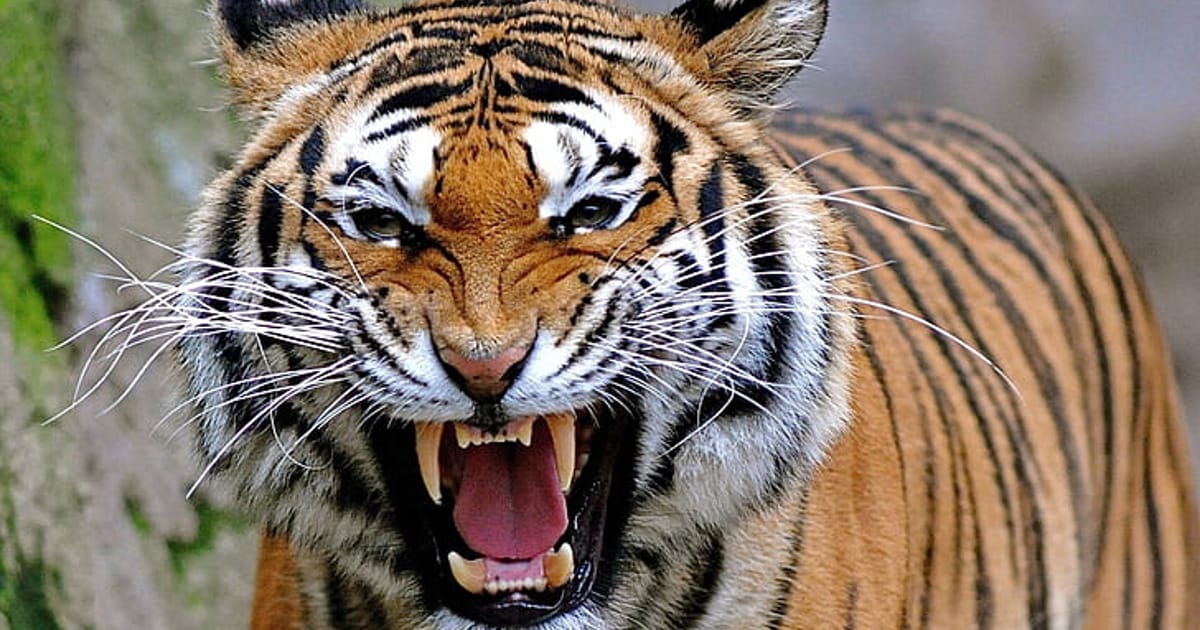 ben alix - usa | about.me