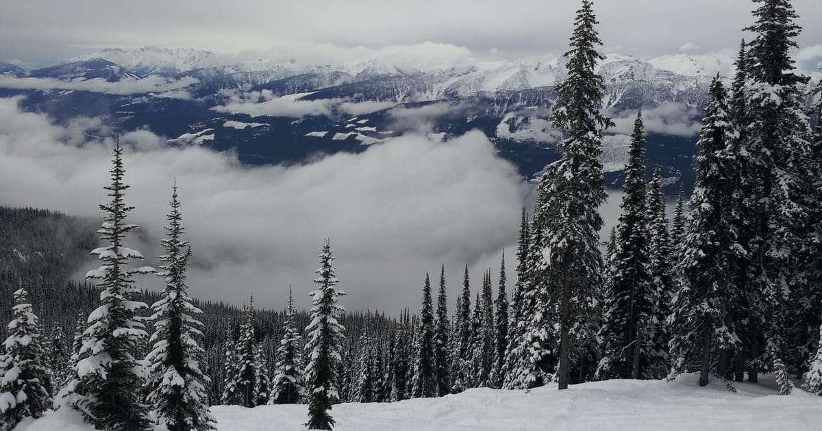 Tina Yee - bridgeland, Redbloom salon, Vidal Sassoon | about.me