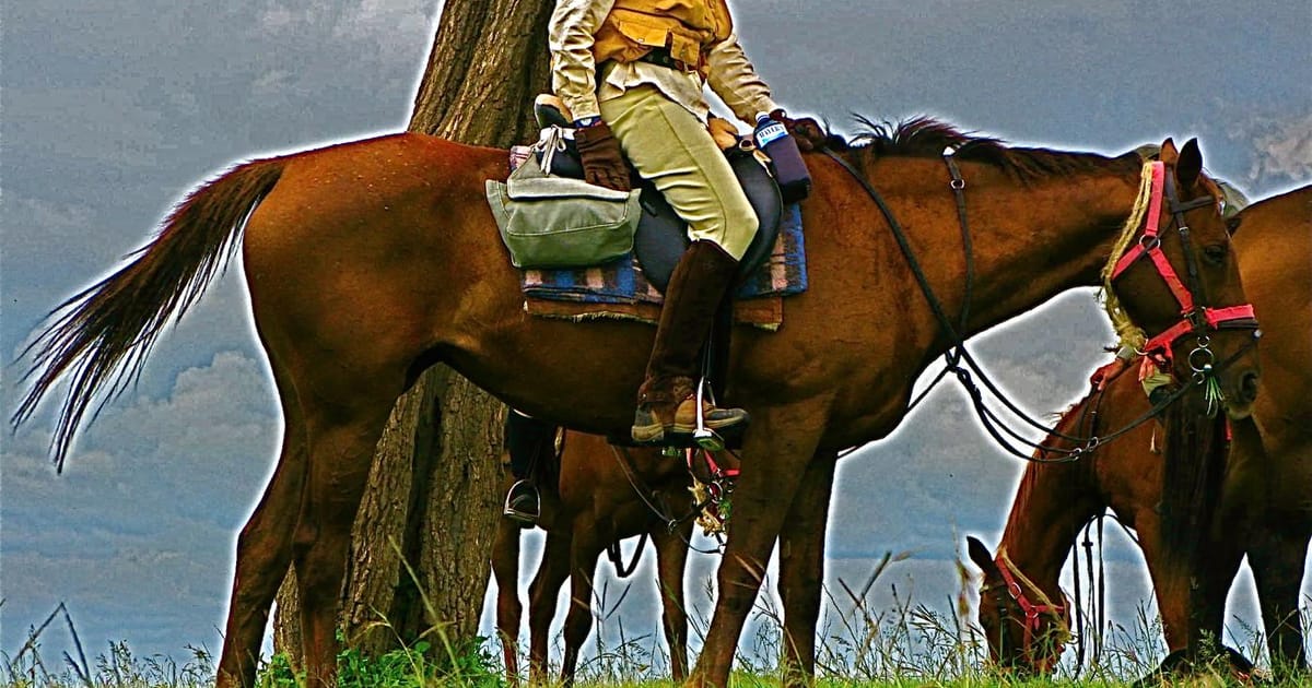 Tina Hutton - southern Oregon, USA | about.me