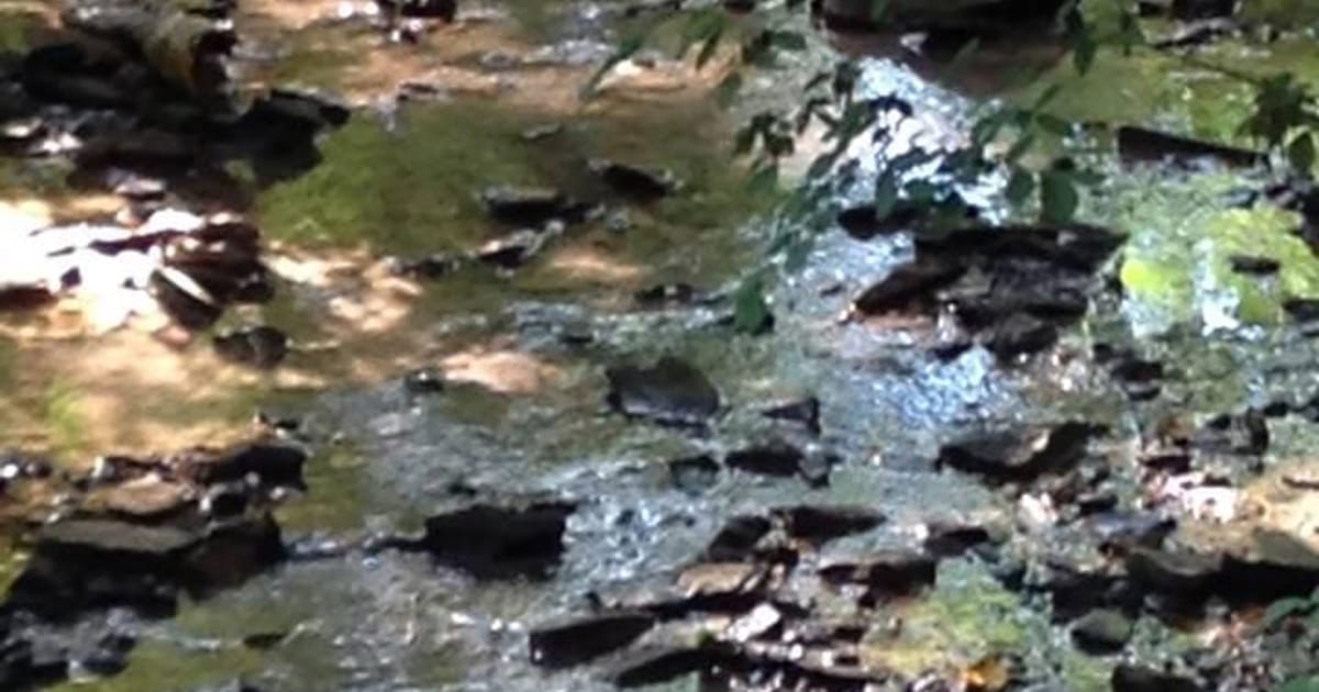 Toby D. Sanders - Trenton, New Jersey, United States, Beloved Community ...