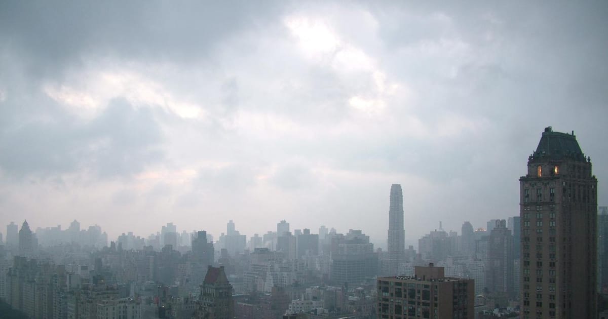 Tom Chantler - Near London | about.me