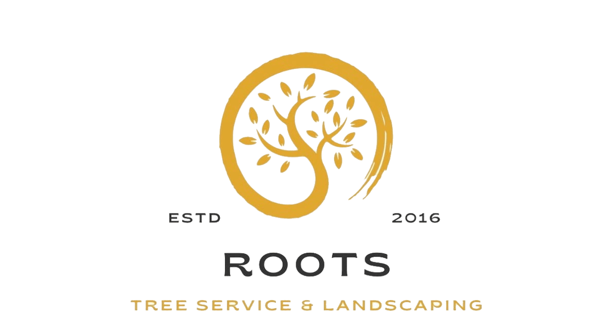 Tom Drivers - 5220 Spring Valley Rd Dallas, TX 75254, USA | about.me