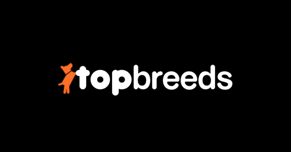 Top Breeds New Delhi India About me top-breeds-new-delhi-india-about-me