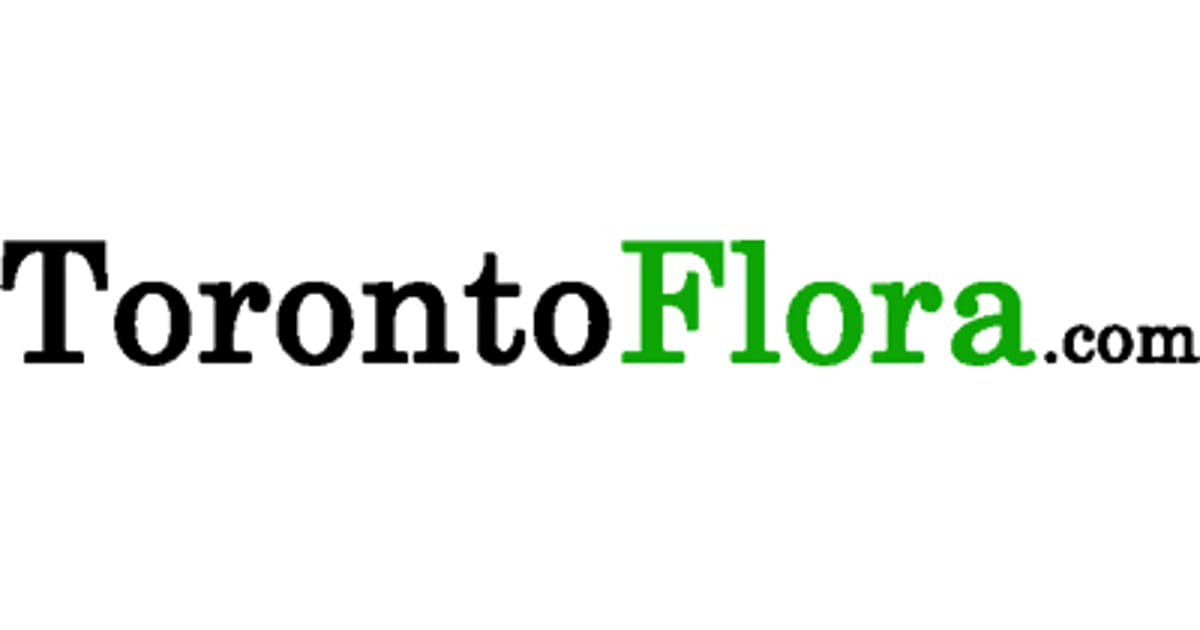 Toronto Flora - Toronto, ON, Toronto Flora | about.me