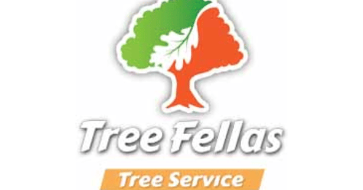 Tree Fellas - 7163 School St, Loudon, New Hampshire, 03307, USA | about.me