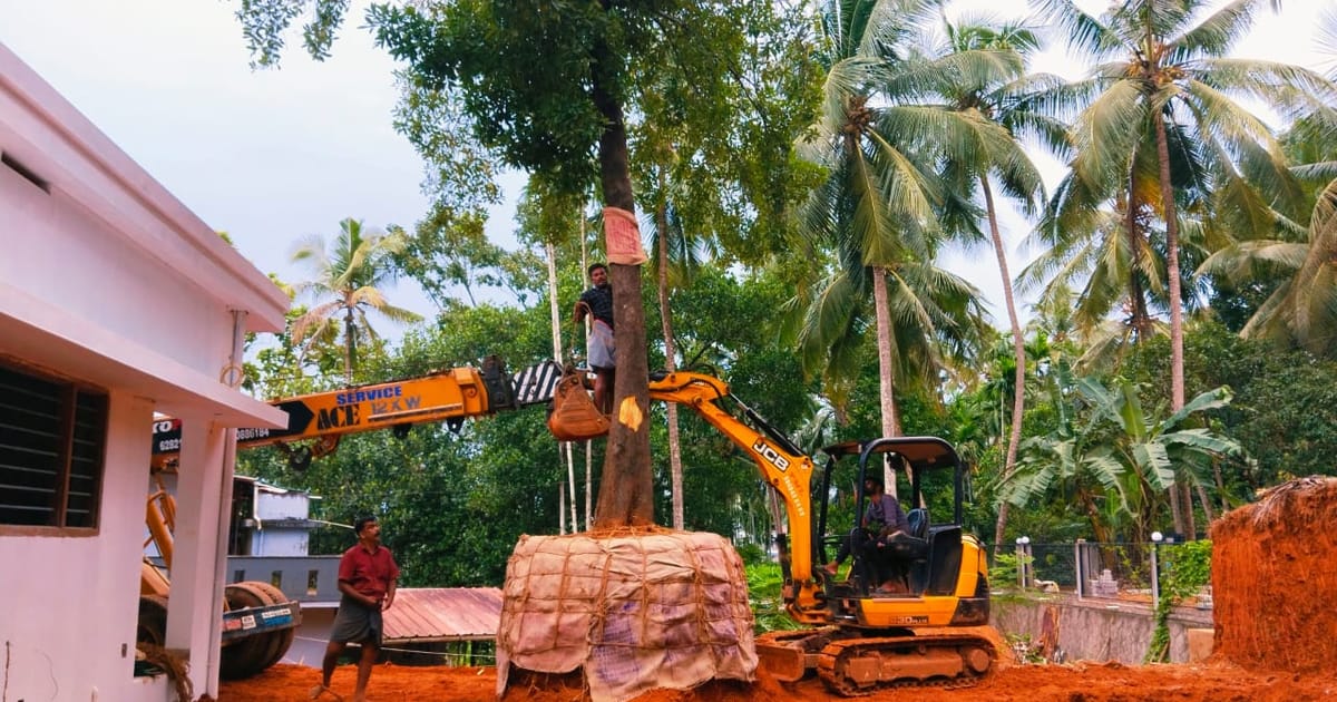 Tree Transplantation in Kerala - V.V Hamsa Road, Eswaramangalam, Tavanur Via, Ponnani ...