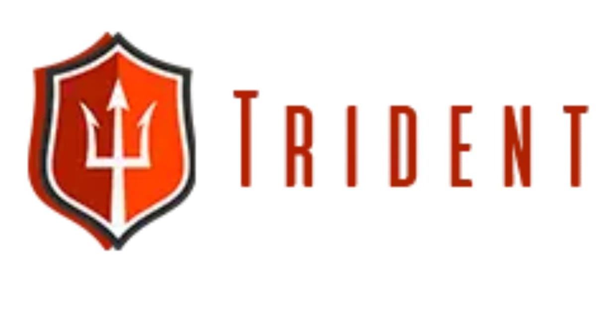 TRIDENT SHIPPING & TRADING PTE. LTD. - 50 Raffles Pl, Level #19-63 Singapore Land Tower ...