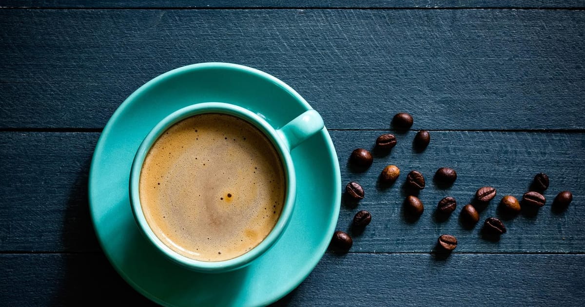 Matthew Tringali - Washington, Dc Metro Area, University of Florida ...