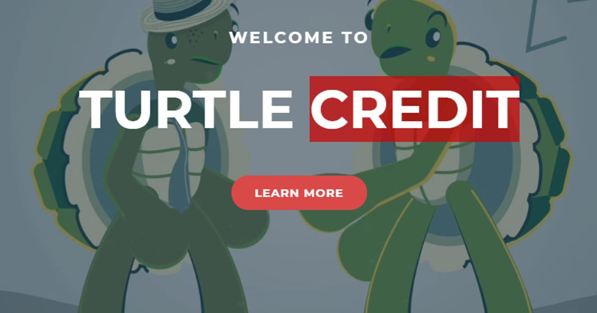 Turtle Credit - usa | about.me