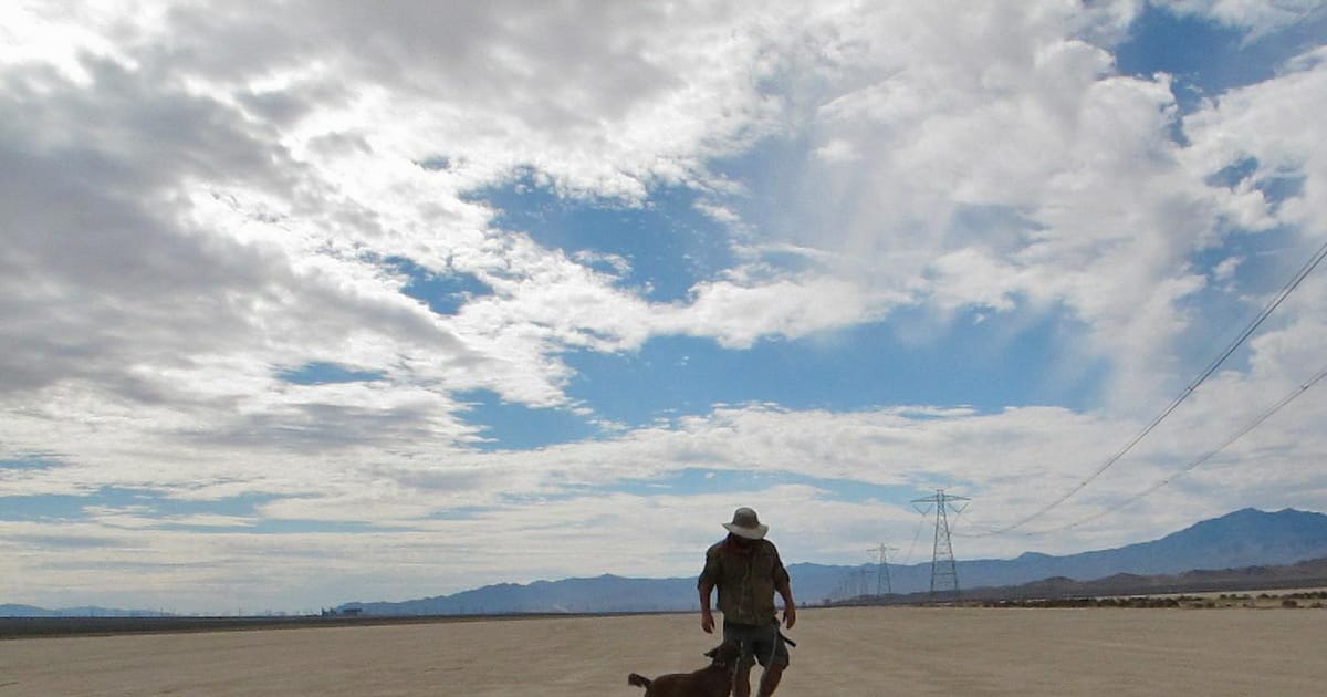 Tyler Coulson - Chicago | about.me