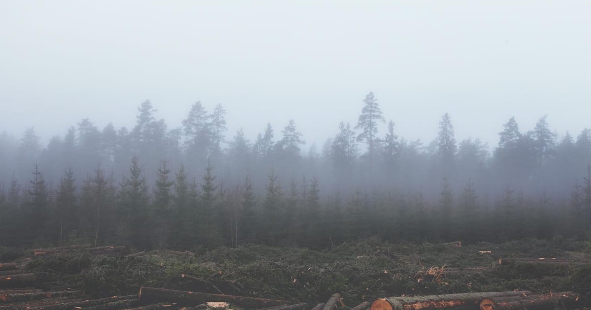 Tyler Yocum - Illinois, Creative Director @ Scarlet Creative, EIU ...