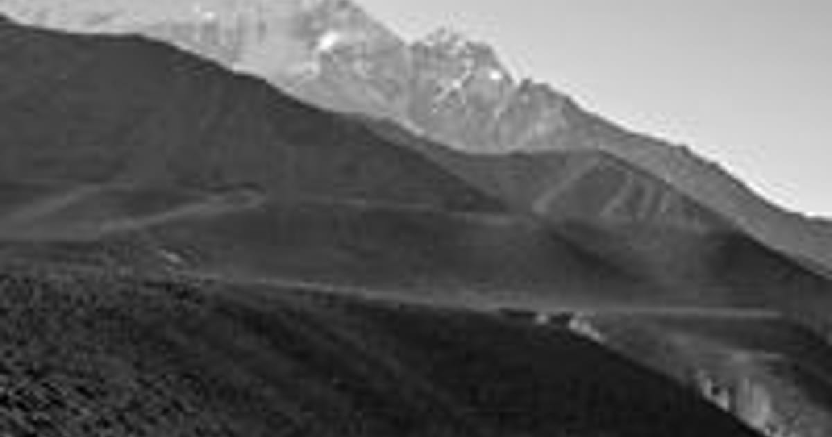 Voltz Lippard - 90018 | about.me