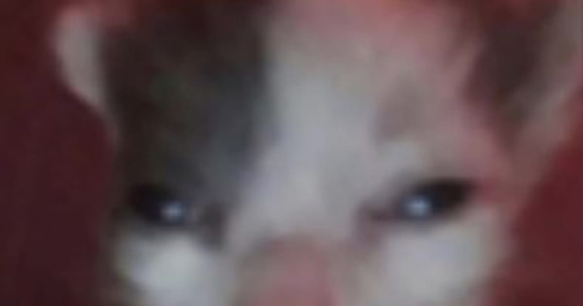 vector perkins - erth | about.me