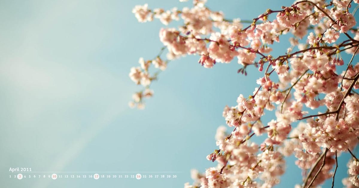 Johnny Zeng - Shanghai, APP Designer, ECIT,Nanchang | about.me