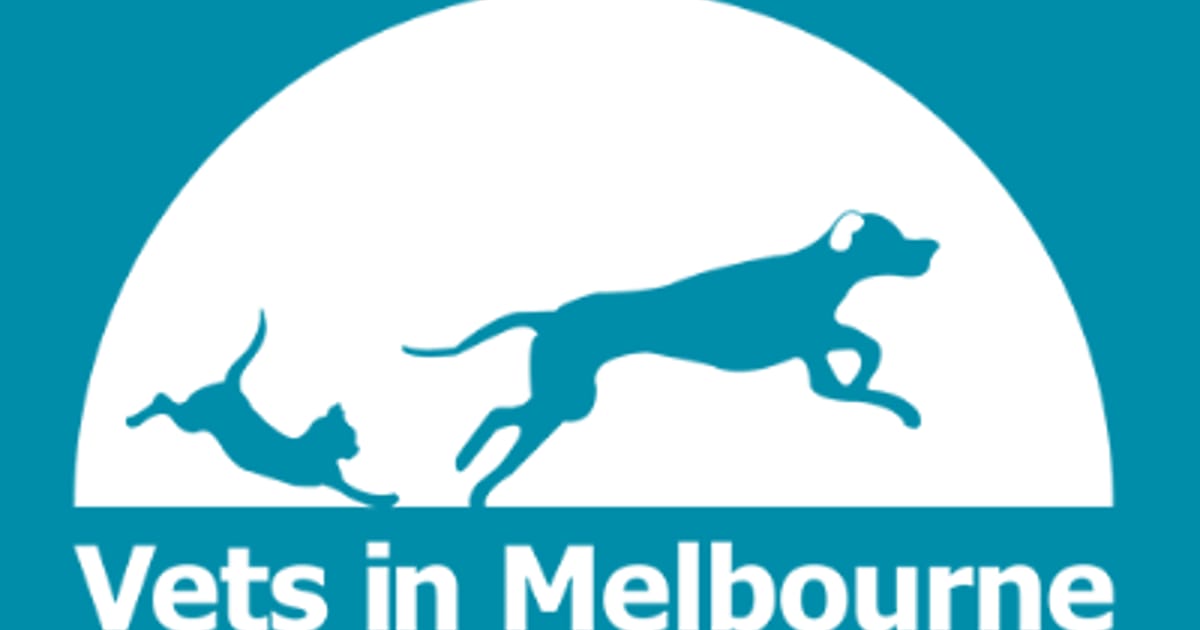 Vets in Melbourne - Australia | about.me