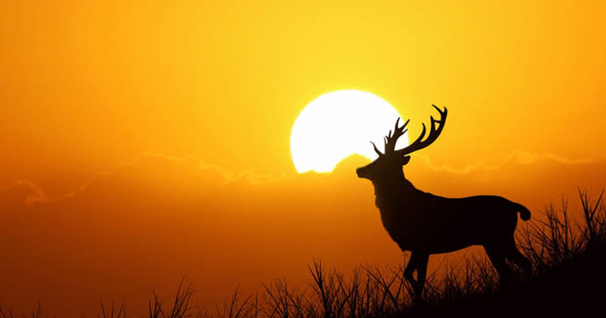 Victoria Actor - Russia | about.me