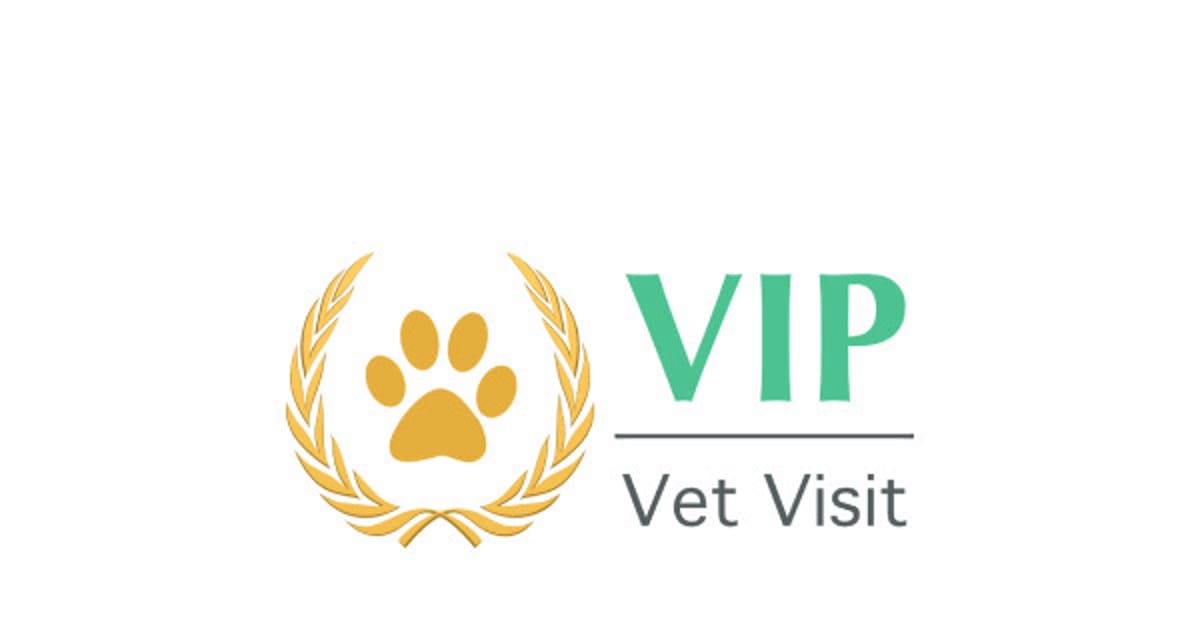VIP Vet Visit - Chicago's South Suburbs | about.me