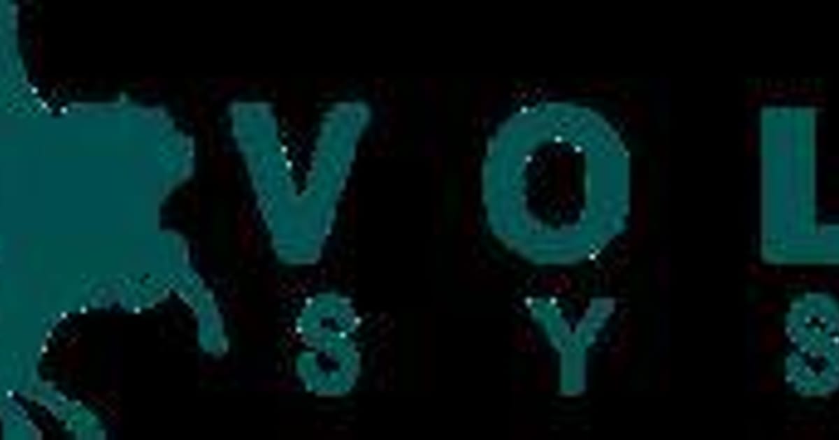 volante systems | about.me