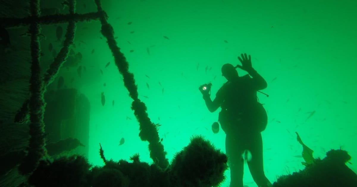 William Koon | about.me