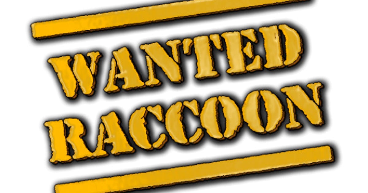 Wanted Raccoon Games - USA | about.me