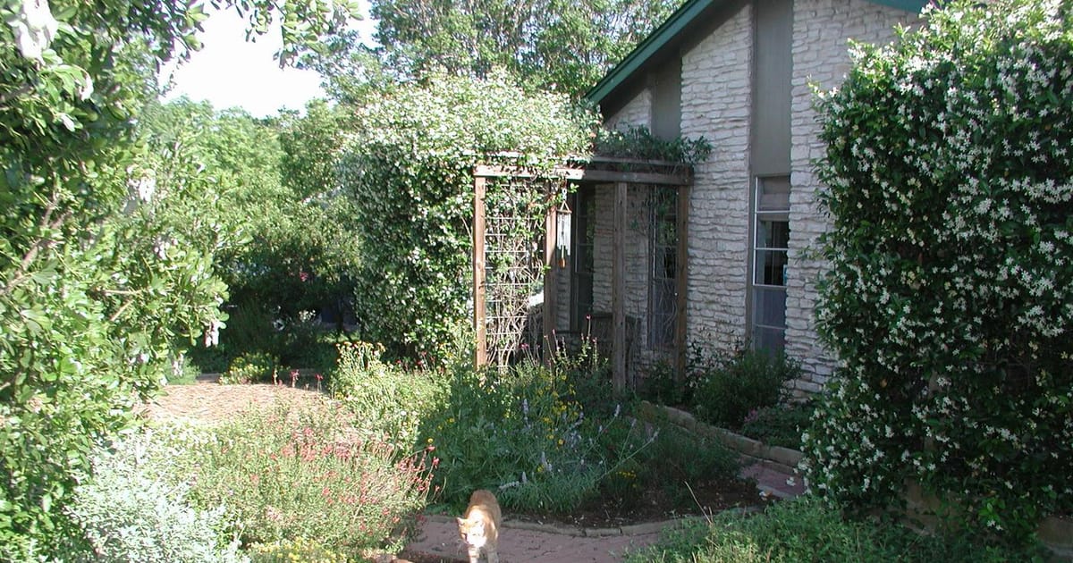 David Venhuizen - Austin, Texas, water infrastructure planning ...