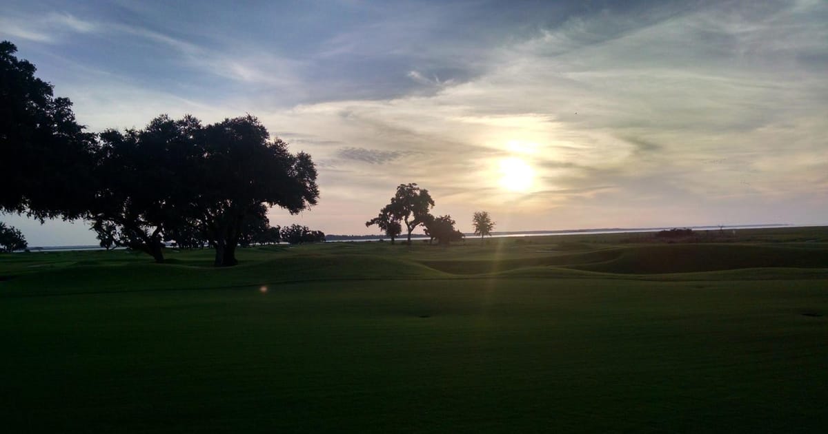 Wayne Scherger - Atlanta, Georgia, United States, Next Steps Systems ...