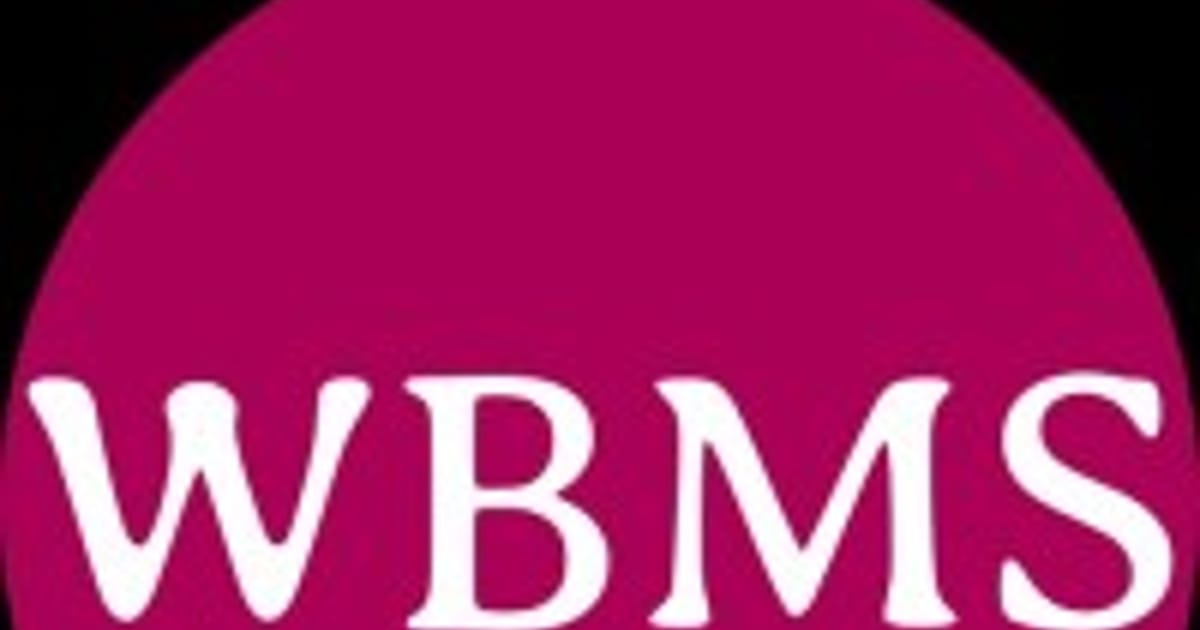 WBMS Web Developers - Brasília | about.me