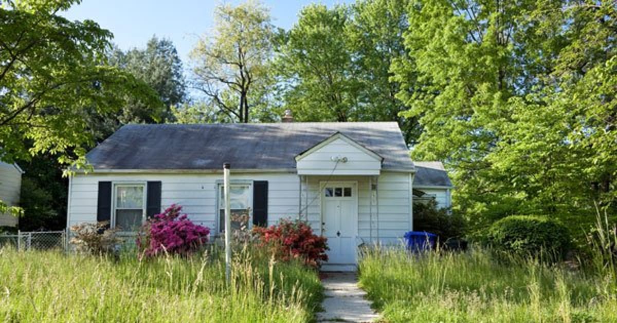 Michael Mathison - USA | about.me