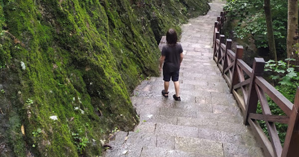 Will Pascoe - Cloverdale, Western Australia | about.me