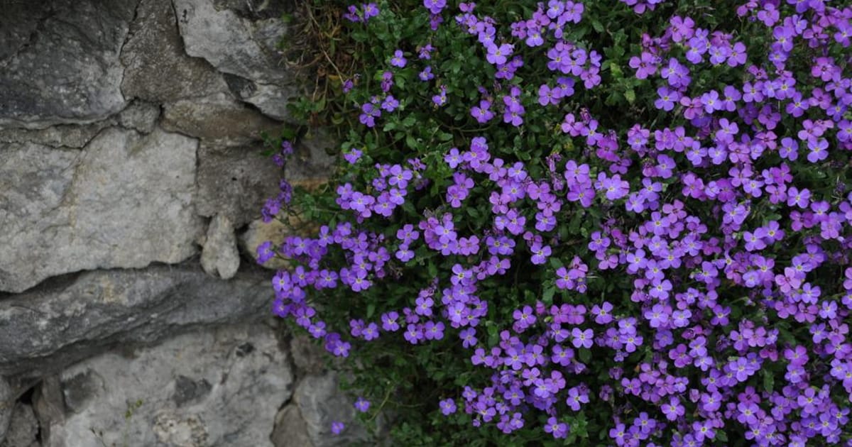 Will Pollock - atlanta & elsewhere, freelance travel photographer ...