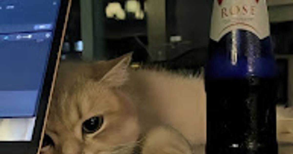 xiaohui xiaohui - Zhengzhou City, Henan Province, China | about.me