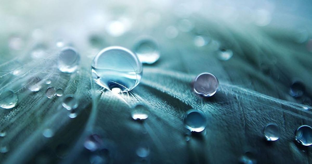 Graphic Designer – Creative Suite – Illustrator - Los Angeles ...