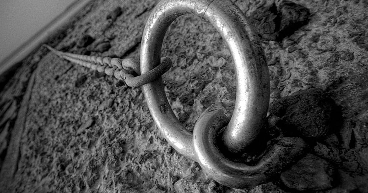 Youkali Youkali - Toronto | about.me